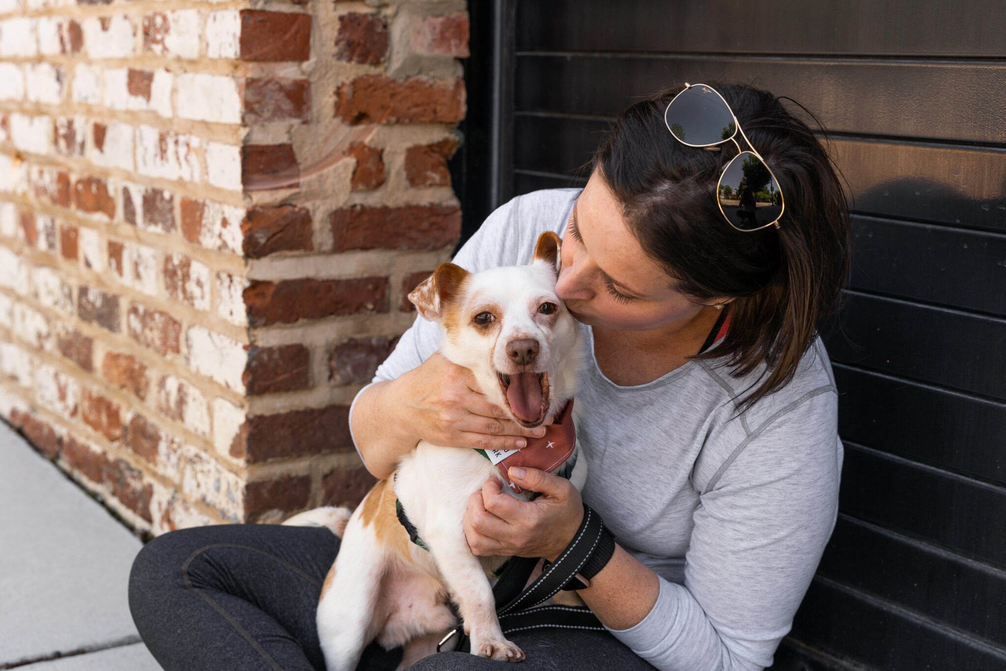 Foster – Hope Animal Rescue